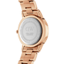 Iconic Link - Watch in Rose Gold with Black dial 36mm | DW